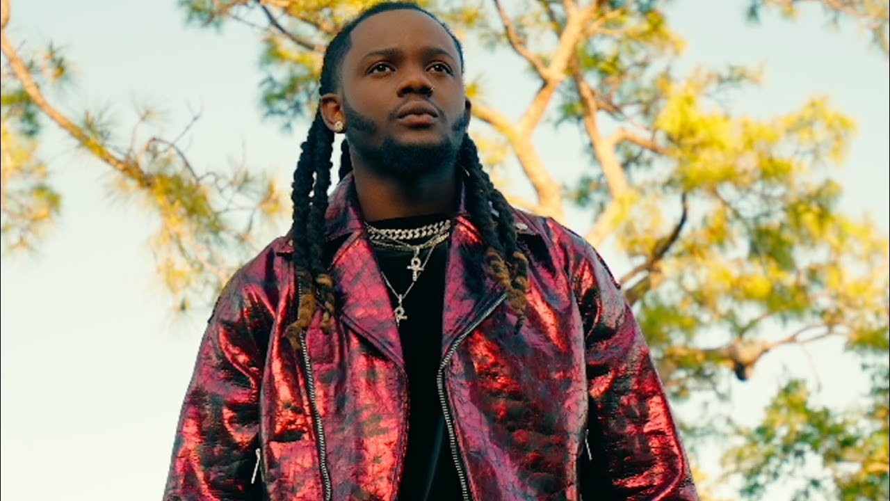 The Richest haitian Musicians In 2025 | Popnable