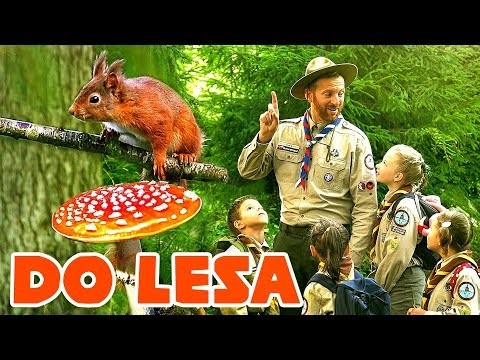 Top 100 Best Slovak Songs Of All The Time | Popnable