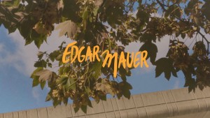 Edgar Mauer Net Worth - How Much Does Edgar Mauer Make? | Popnable