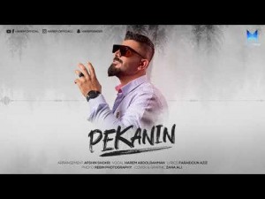 Harem Abdolrahman صافي الثروة - ما مقدار الدخل Harem Abdolrahman 2025 ...