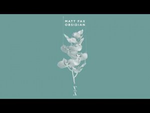 Matt Fax's Biography And Facts' | Popnable