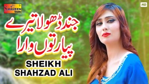Sheikh Shehzad Ali's Biography And Facts' | Popnable
