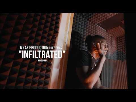 3Sb Donkey's Biography And Facts' | Popnable