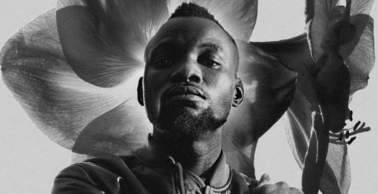 Madi Banja's Biography And Facts' | Popnable