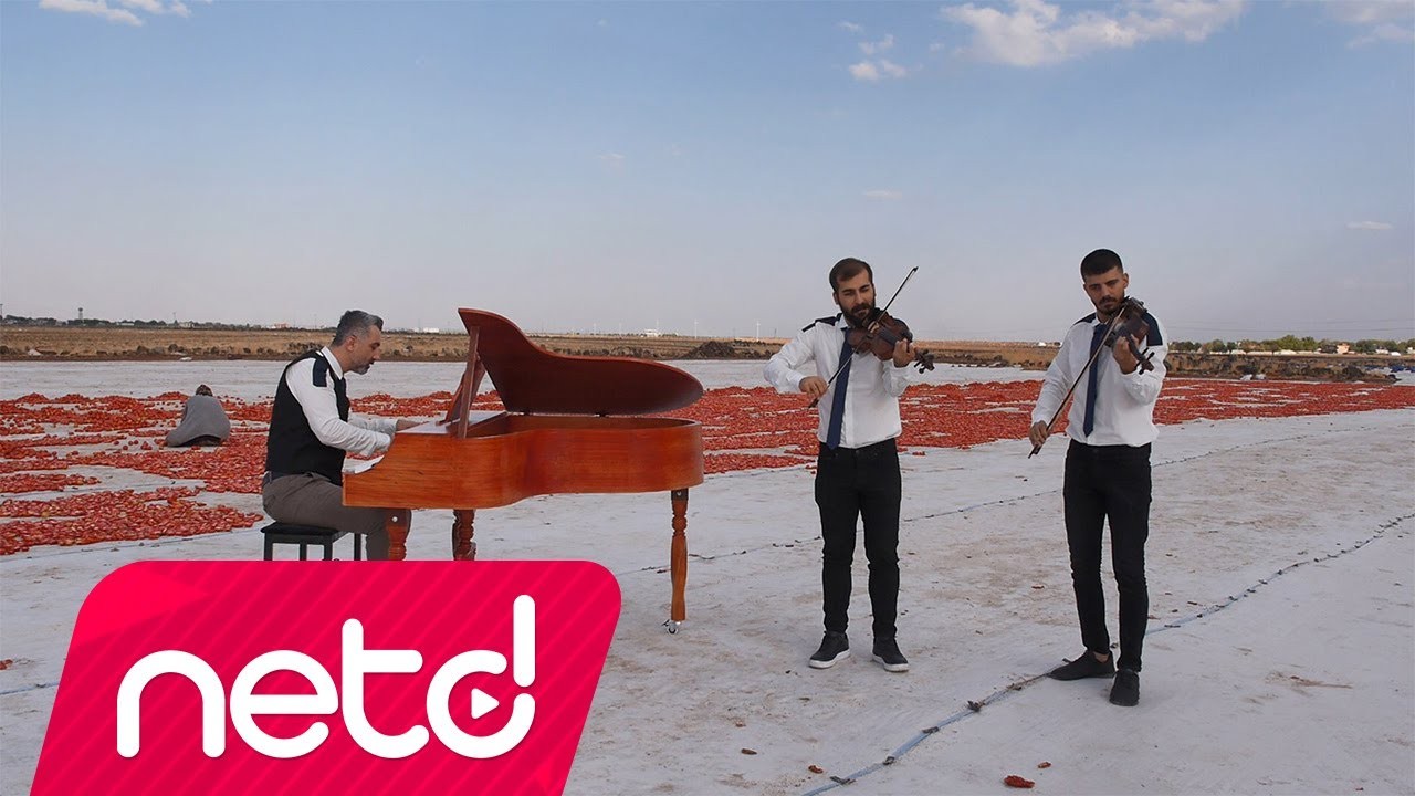 Bariş Bayram's Biography And Facts' | Popnable