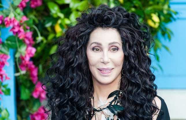 Cher's Biography And Facts' | Popnable
