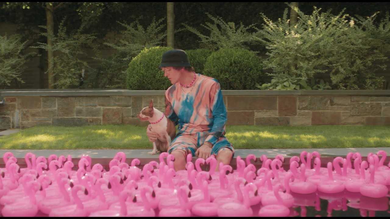 Johnny Stimson's Biography And Facts' | Popnable