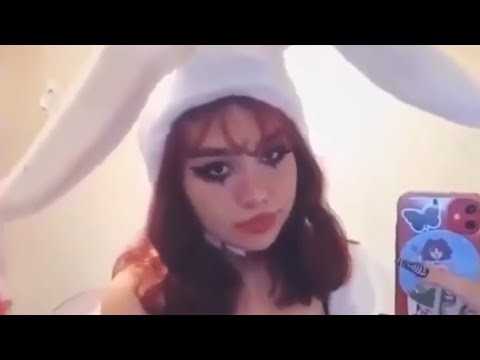 Lilbubblegum Best Songs | Popnable