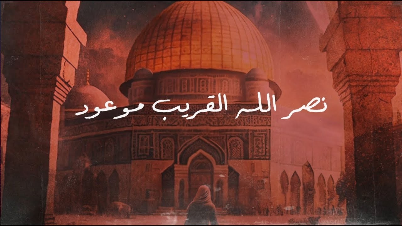 Mahmoud Abdelrzaq Net Worth - How Much Does Mahmoud Abdelrzaq Make ...