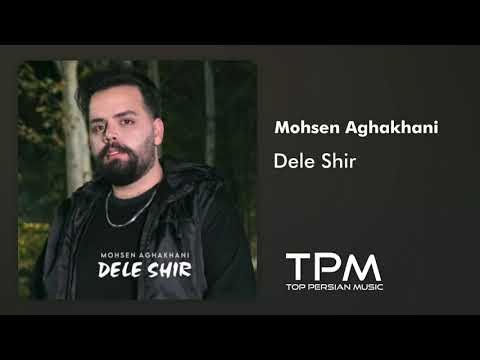 Mohsen Aghakhani Net Worth - How Much Does Mohsen Aghakhani Make ...