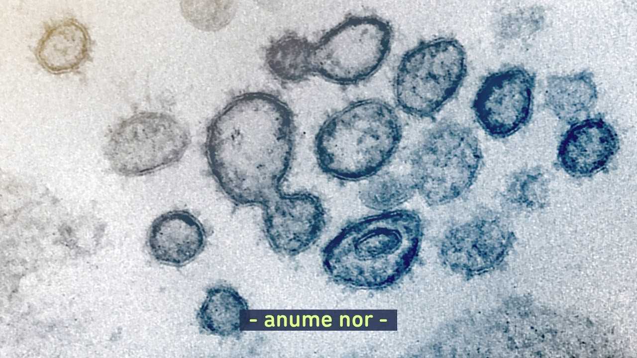 Phunk B's Biography And Facts' | Popnable