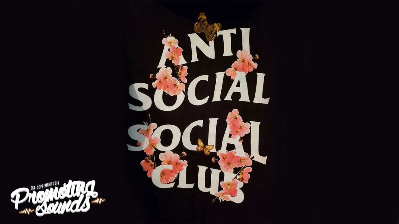 Rarin Best Songs | Popnable