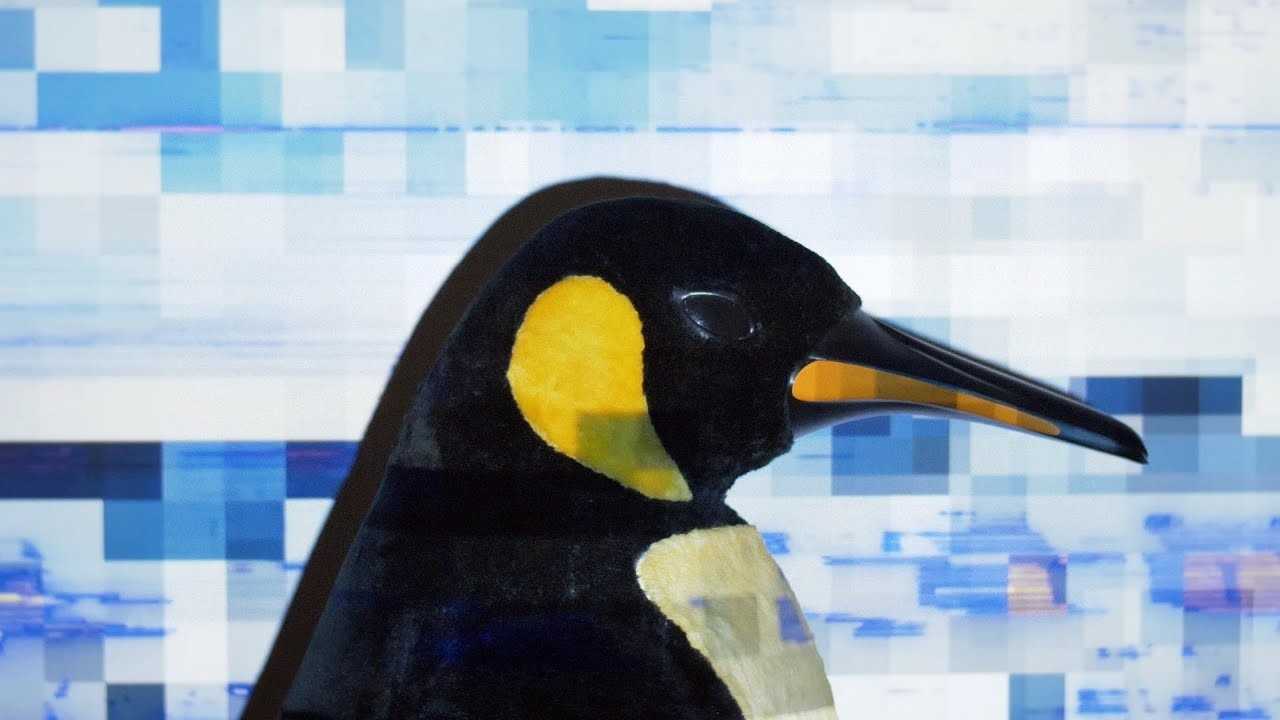 Rocket Pengwin's Biography And Facts' | Popnable