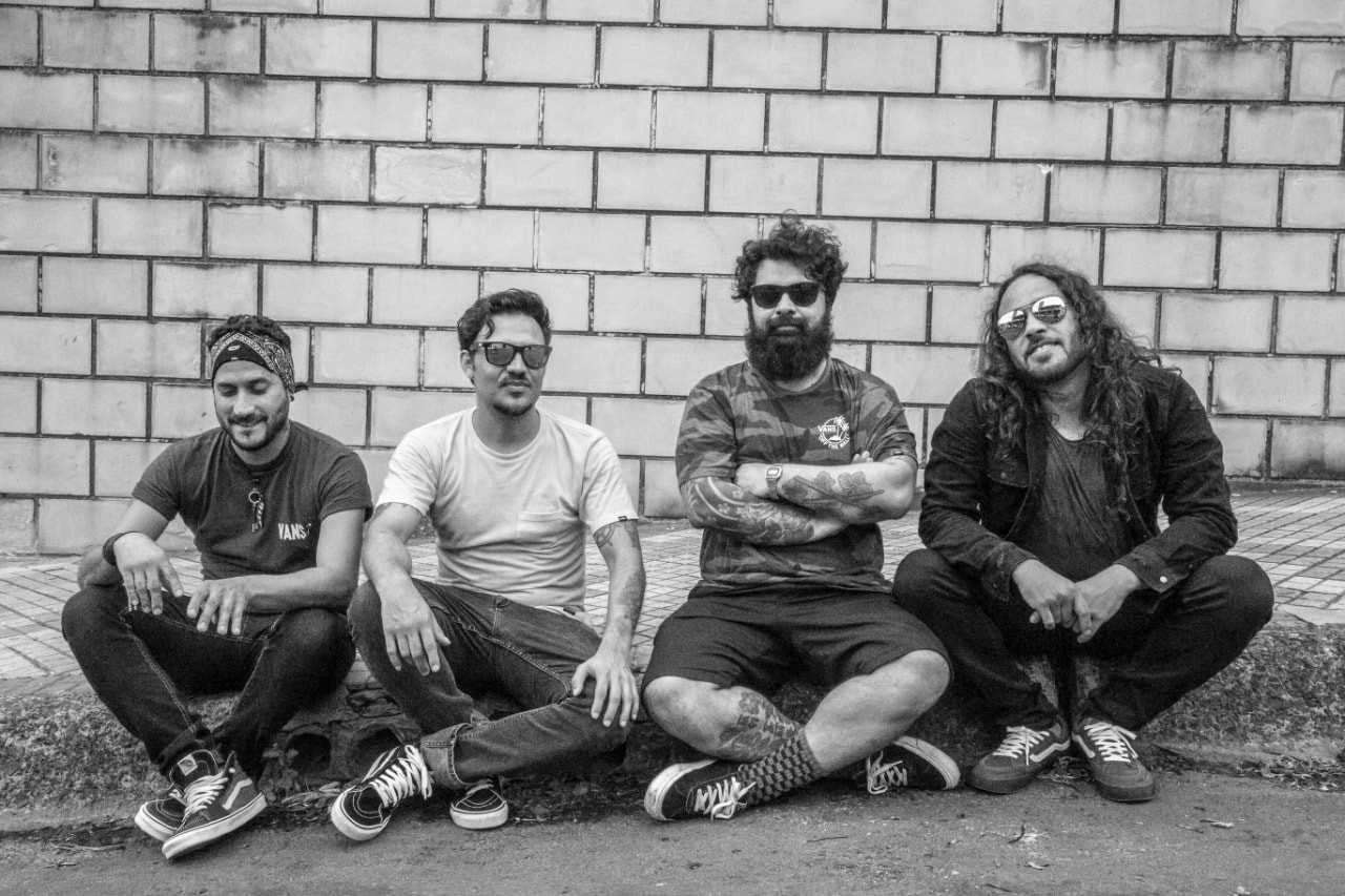 Salamandra from Paraguay | Popnable