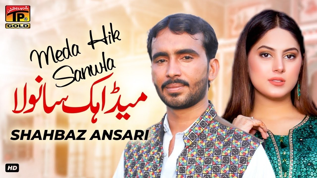 Songs released by Shahbaz Ansari from Pakistan | Popnable