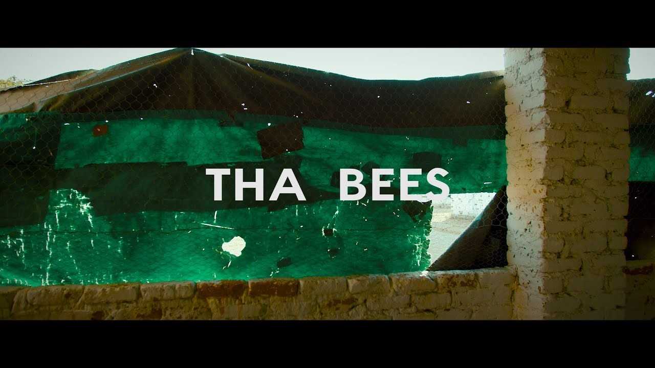 Tha Bees from Zimbabwe | Popnable