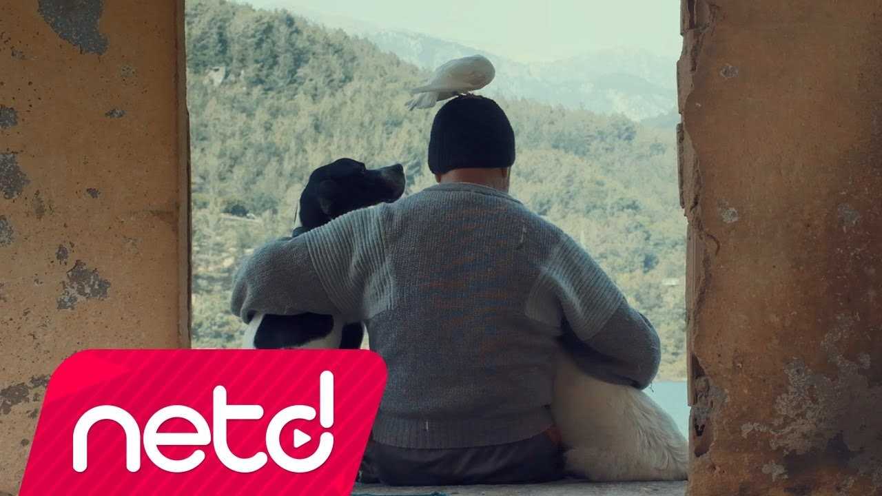 Tuncay Kök Net Worth - How Much Does Tuncay Kök Make? | Popnable