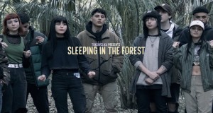 "Sleeping In The Forest Remix" | Buy, Play and Listen | Popnable