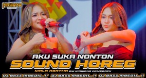 Lyrics & Translations of AKU SUKA NONTON SOUND HOREG by Mala Agatha ...