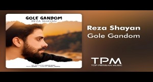 "Gole Gandom" | Buy, Play and Listen | Popnable