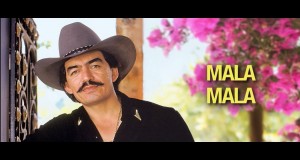 Lyrics & Translations of MALA MALA by Joan Sebastian | Popnable