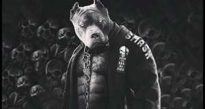 Lyrics & Translations of Porokhovoi by Chester Nebro & Ne.kurili | Popnable