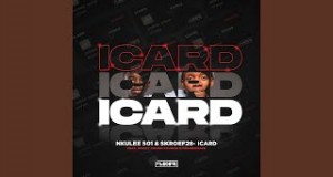Lyrics & Translations of Icard by Nkulee501 | Popnable