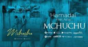 Statistiken über 'Mchuchu', gesungen von 'Aslay & Hamadai' | Popnable