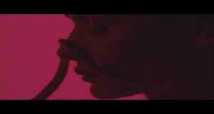 "Puli" | Buy, Play and Listen | Popnable