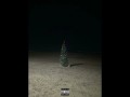 Nateman from Philippines | Popnable